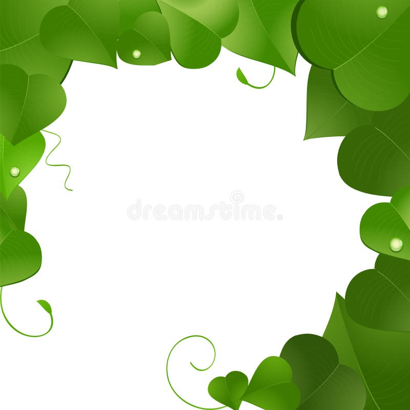 Lush green leaf border stock vector. Illustration of floral - 20440250