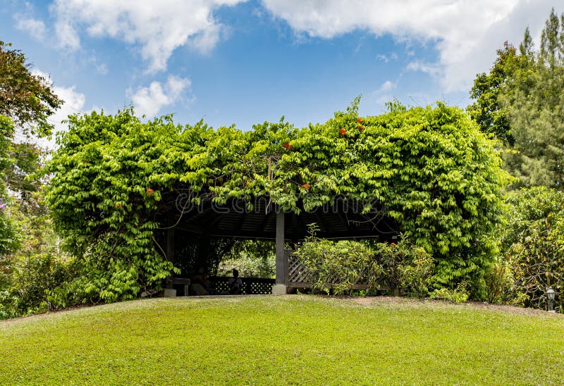 Lush Green Park with Trees and Grass at Day Light with Clouds Stock ...