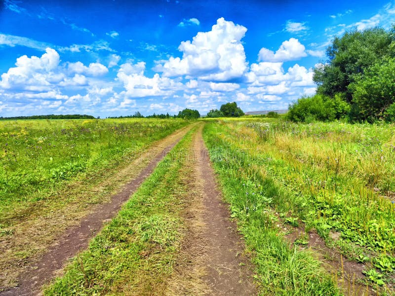 Lush Green Pathway through Open Fields Under a Bright Blue Sky Filled ...