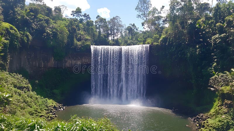 Lush Green Rainforest with a Dramatic Waterfall Cascading into a Pool ...