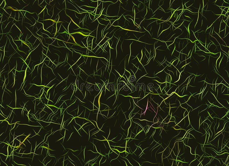 Lush Green Sparse Grass Texture Stock Illustration - Illustration of ...