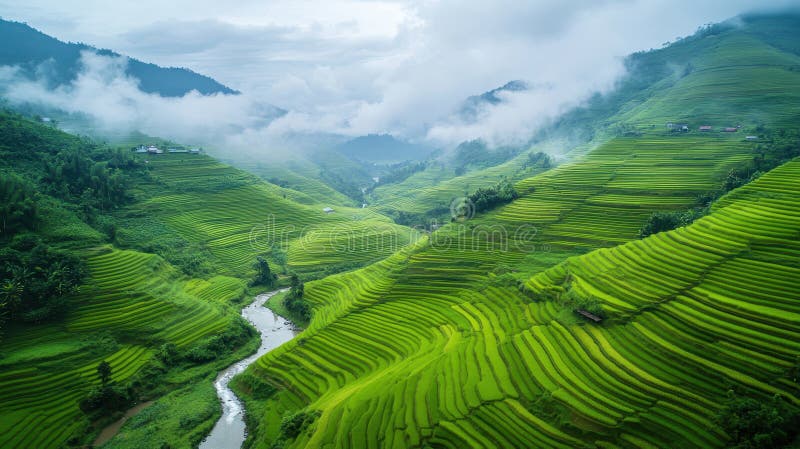 Lush Green Terraced Rice Fields with a Winding River and Misty ...