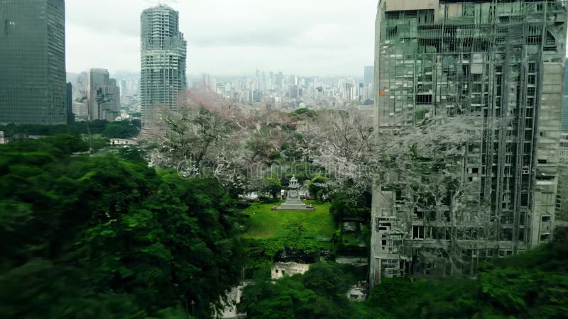 Lush Green Trees Frame a Cityscape View from an Elevated Vantage Point ...