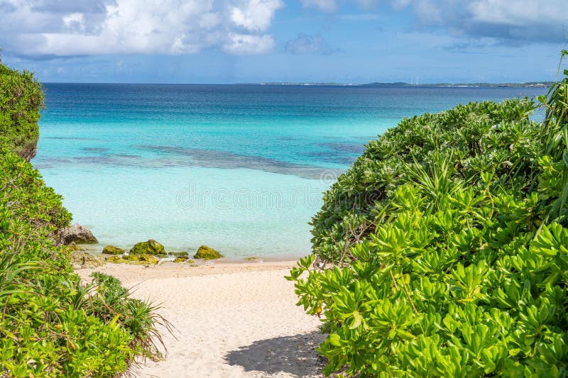 Lush Greenery Frames a Pristine Beach and Turquoise Waters in Okinawa, Japan Stock Image - Image ...