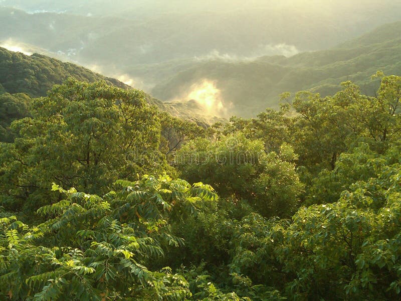 Lush Japanese Mountainscape Stock Image - Image of hills, nagasaki ...