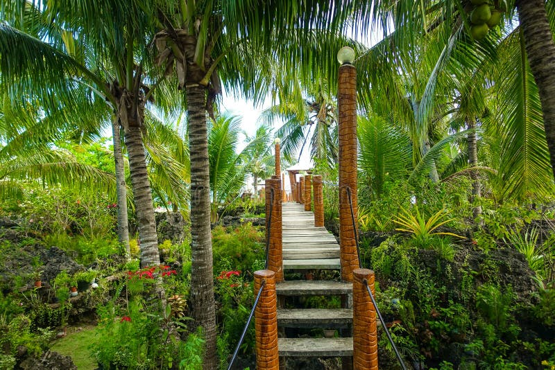 Jungle walkway stock photo. Image of leaf, castillo, hispanic - 86546606