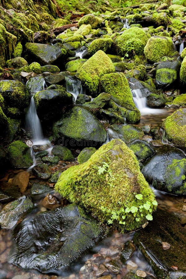 Lush Moss Covered Rocks and a Stream. Stock Image - Image of lush ...