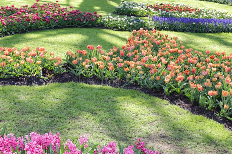 Lush park stock photo. Image of trees, nature, foliage - 40283744