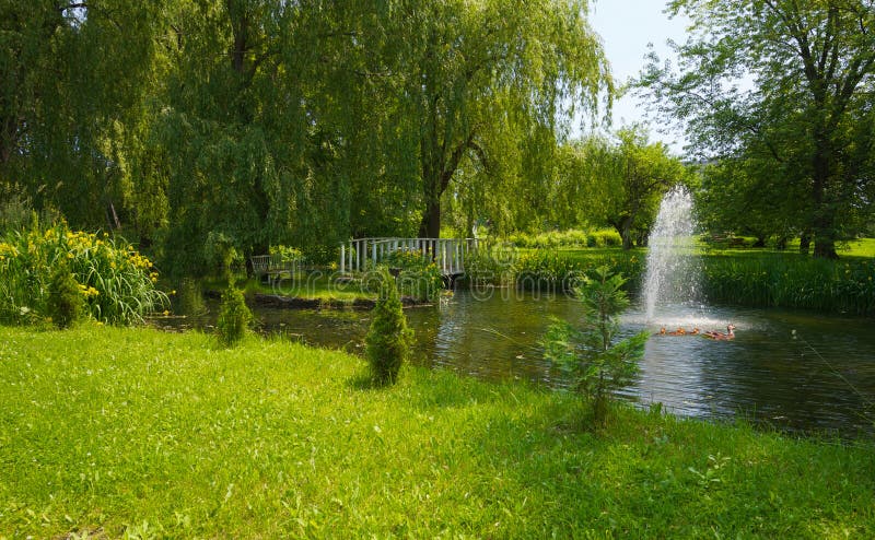 Summer pond. stock image. Image of relaxation, pond, manitoulin - 30204511