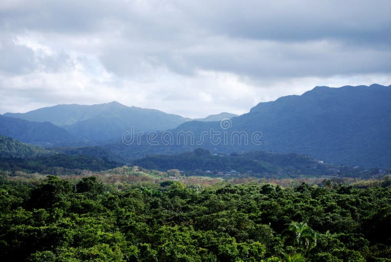 Lush Rain Forest and Mountains in Puerto Rico Stock Photo - Image of ...