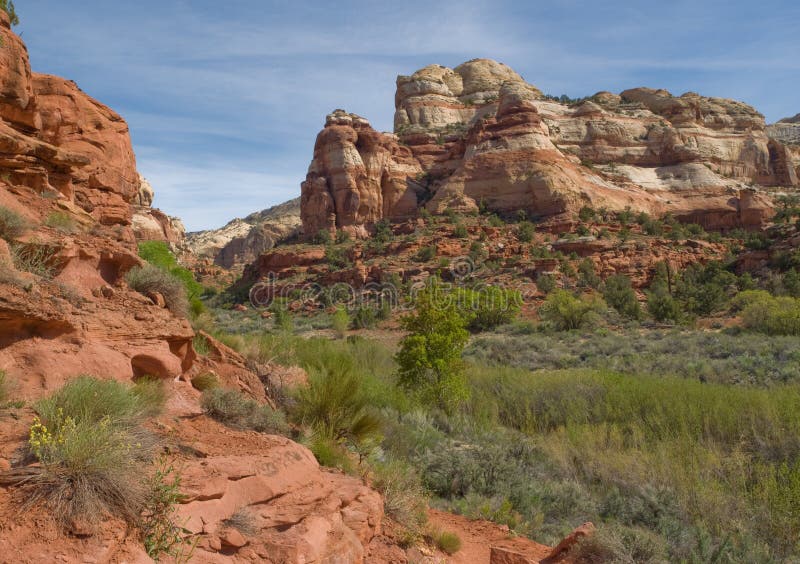 Lush River Valley in Red Sandstone Desert Canyon Stock Image - Image of ...