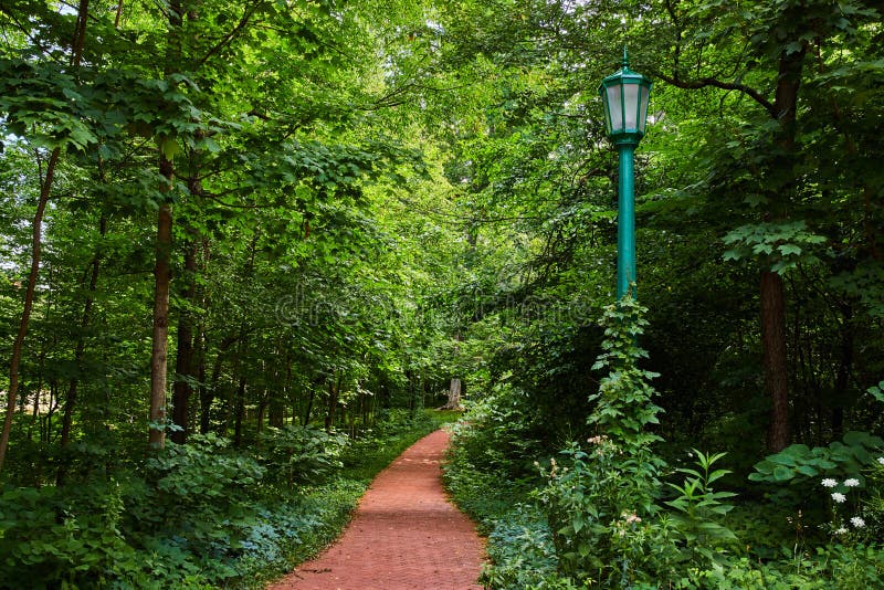Lush Summer Forest with Brick Path and Green Lamp Post Stock Photo ...