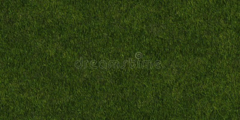 Lush Textured Meadow Backdrop. Grass Texture. Field Background Stock ...