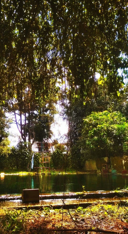 Lush Trees and Cool Water Sources from Beautiful Nature Stock Photo ...