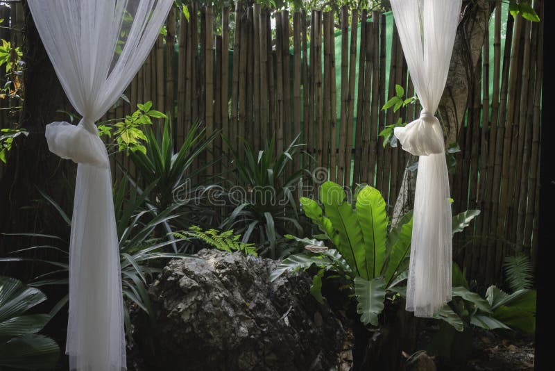 Lush Tropical Garden with Assorted Plants and Flowers Stock Image ... Lush Tropical Garden with Assorted Plants and Flowers Stock Image ...