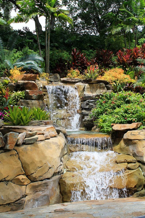 Lush Tropical Garden with Waterfall Stock Photo - Image of nature, leaf ...