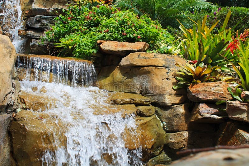 Lush Tropical Garden with Waterfall Stock Photo - Image of forest, fern ...