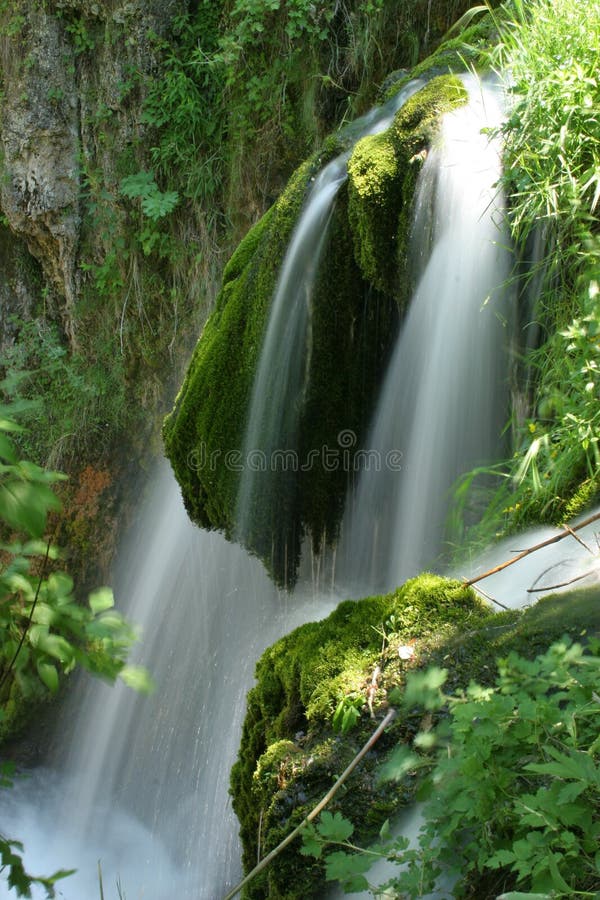 Lush waterfall stock image. Image of spray, plant, river - 793693