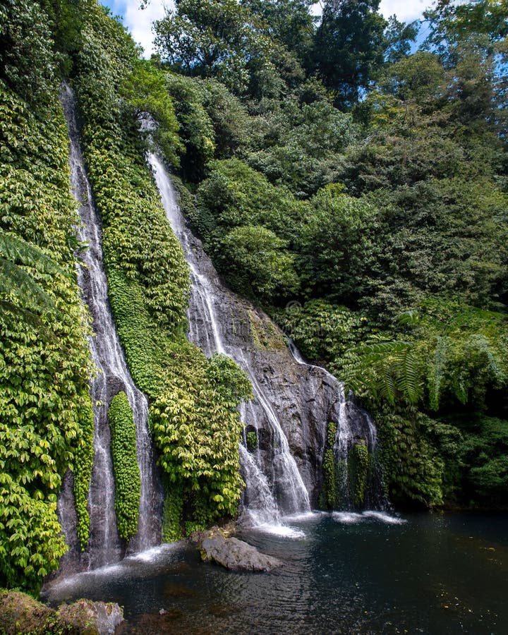Lush Waterfall in Tropical Jungle Setting Stock Photo - Image of exotic ...