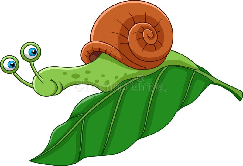 Lustige Schnecke Der Karikatur Auf Einem Blatt Vektor Abbildung ... Lustige Schnecke Der Karikatur Auf Einem Blatt Vektor Abbildung ...