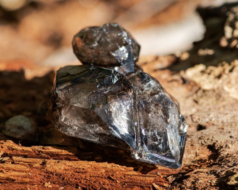 Lustrous Gem Quality Smoky Elestial Quartz from Brazil on a Tree Bark ... Lustrous Gem Quality Smoky Elestial Quartz from Brazil on a Tree Bark ...