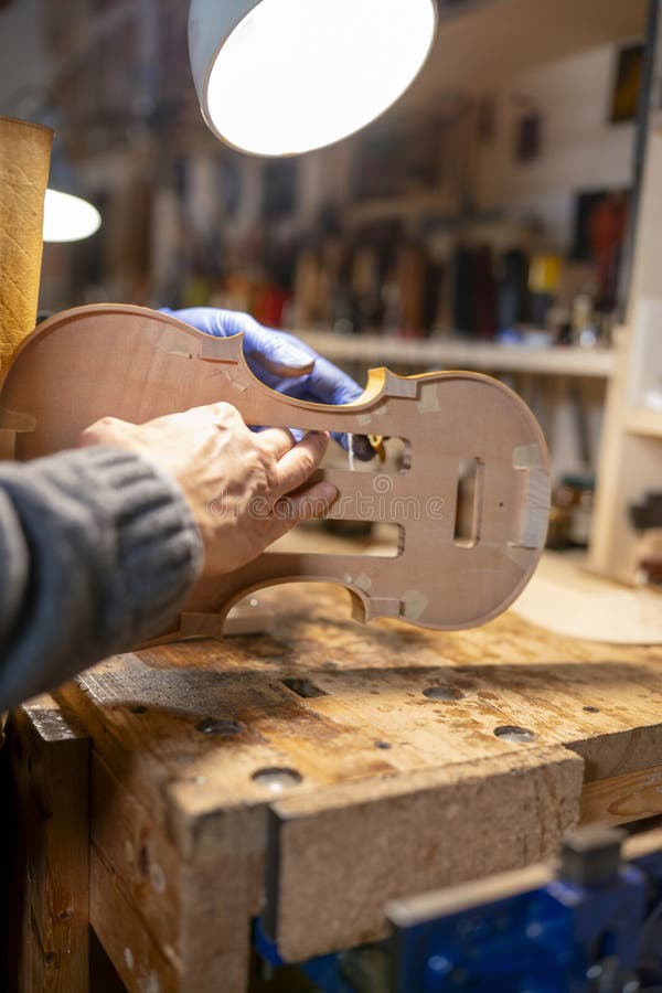 Luthier Creating Violin in Workshop: Assembling Wooden Parts Stock ...