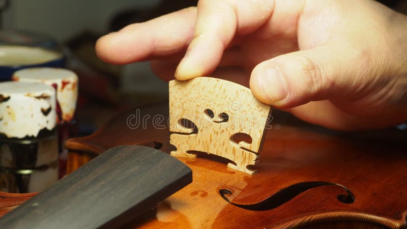 Luthier Positioning a Bridge To a Violin with Precision Stock Footage ...