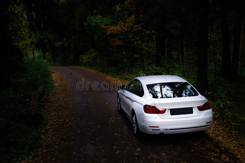 Luxe Witte Auto in Het Donkere Bos Stock Foto - Image of licht ...