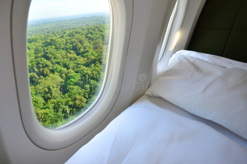 Luxurious Airplane Window View of Lush Forest from First Class Cabin ...
