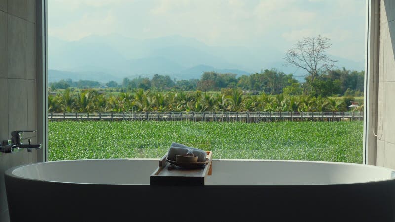 Luxurious Bathtub with View of Lush Stock Photo - Image of paddy ...