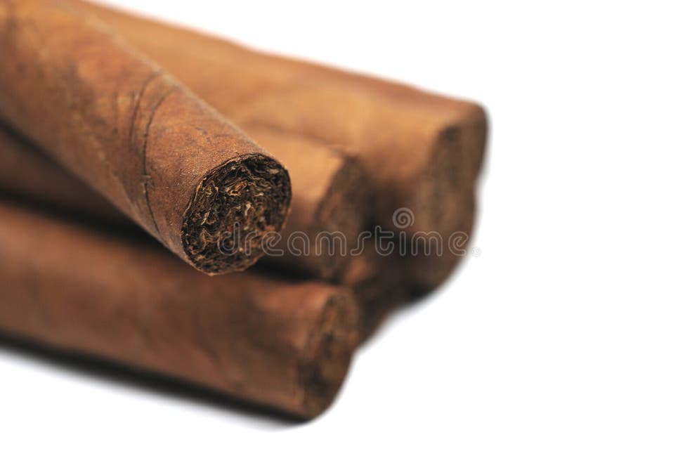 Luxurious cigars stock photo. Image of addicted, cigar - 8929524