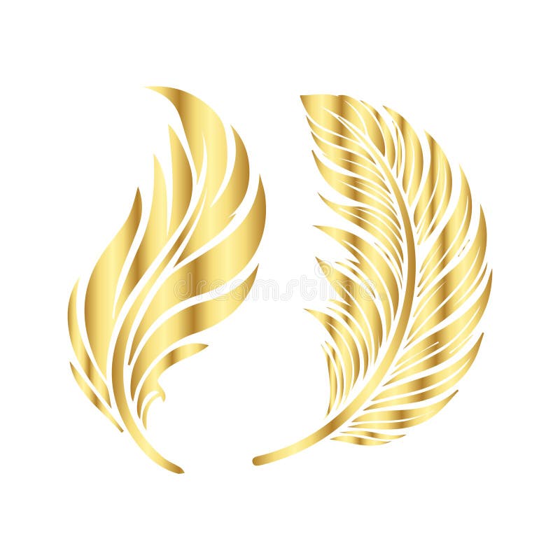 Luxurious Feather Design Illustration Stock Vector - Illustration of ...