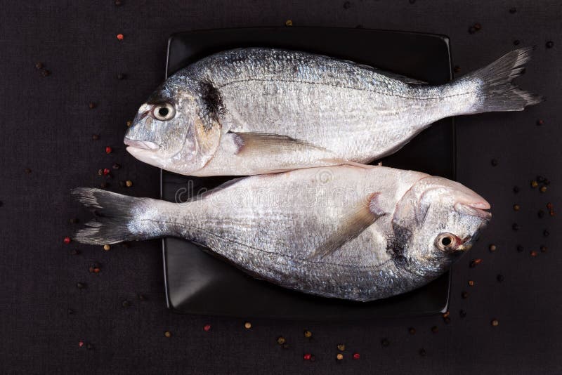 Luxurious Fish on Black Plate. Stock Photo - Image of dinner ...