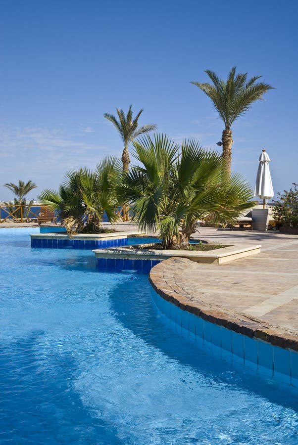 Luxurious Hotel Swimming Pool Stock Photo - Image of palms, luxury: 7909444