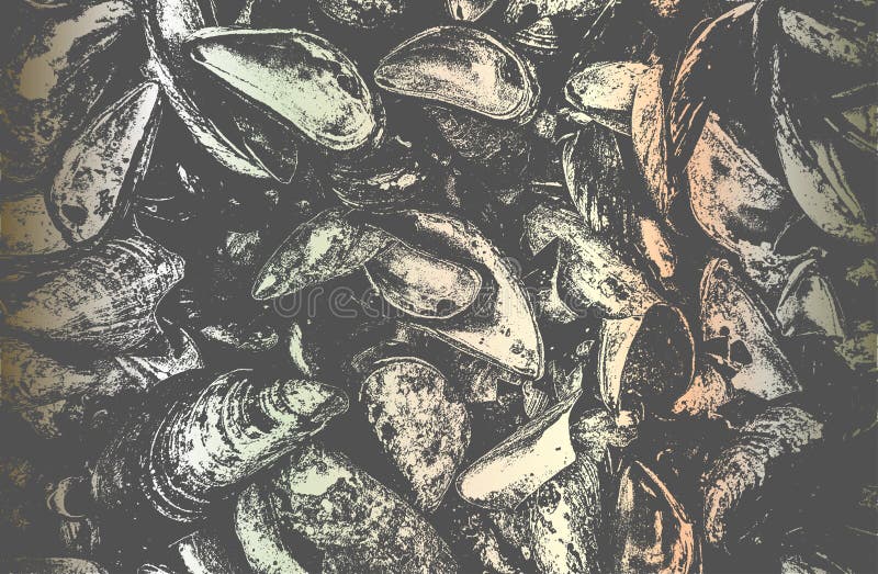 Luxury Black Metal Gradient Background with Distressed Closeup Seashell ...