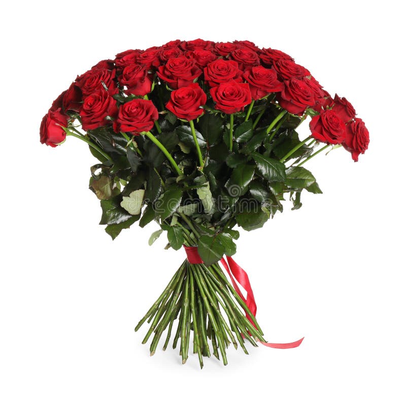 Luxury Bouquet of Fresh Red Roses Isolated on White Stock Image - Image ...