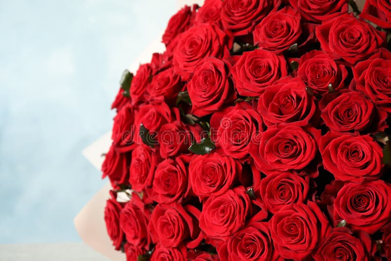 Luxury Bouquet of Fresh Red Roses on Light Background Stock Photo ...