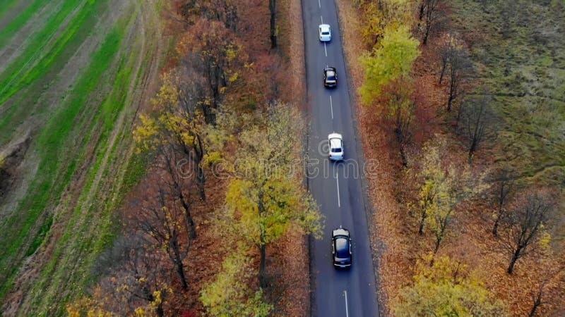 Luxury Car on Road on the Field Background Stock Footage - Video of ...