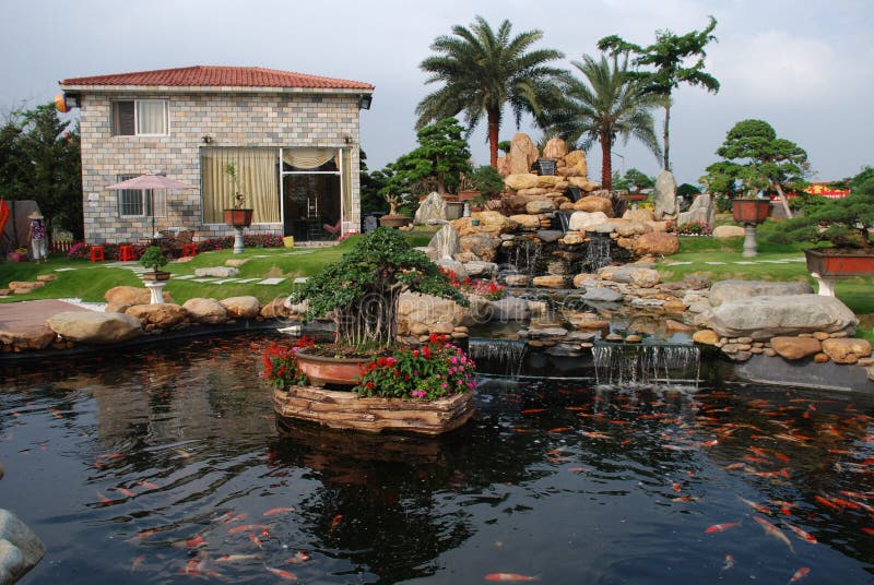 Koi fish pond stock photo. Image of peaceful, garden, carefree - 4821804