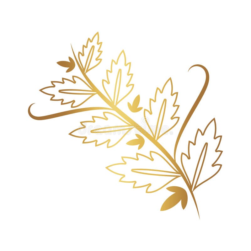 Luxury Gold Filigree Ornament Stock Vector - Illustration of element ...