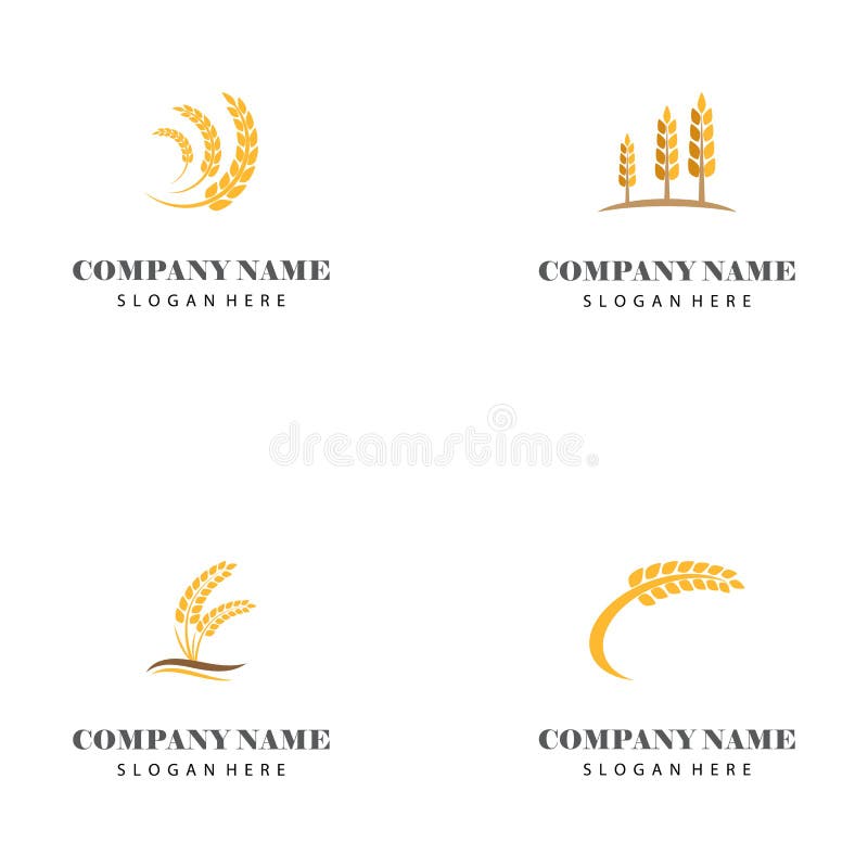 Luxury Golden Grain Weath / Rice Logo Design Vector Stock Vector ...