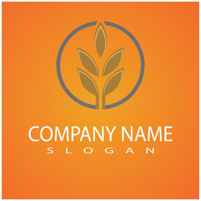 Luxury Golden Grain Weath / Rice Logo Design Vector Stock Vector ...