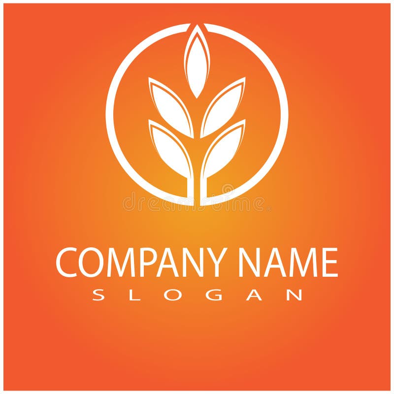 Luxury Golden Grain Weath / Rice Logo Design Vector Stock Vector ...