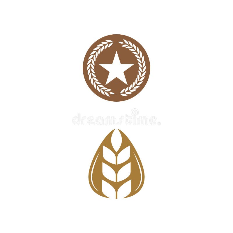 Luxury Golden Grain Weath / Rice Logo Design Vector Stock Vector ...