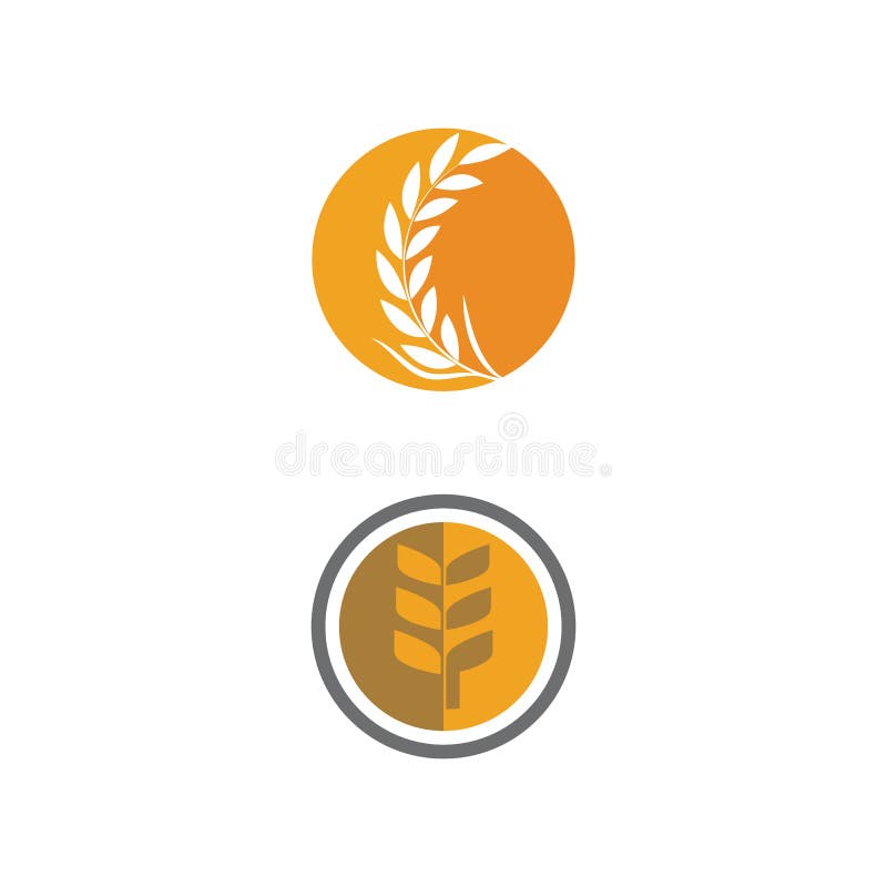 Luxury Golden Grain Weath / Rice Logo Design Vector Stock Vector ...