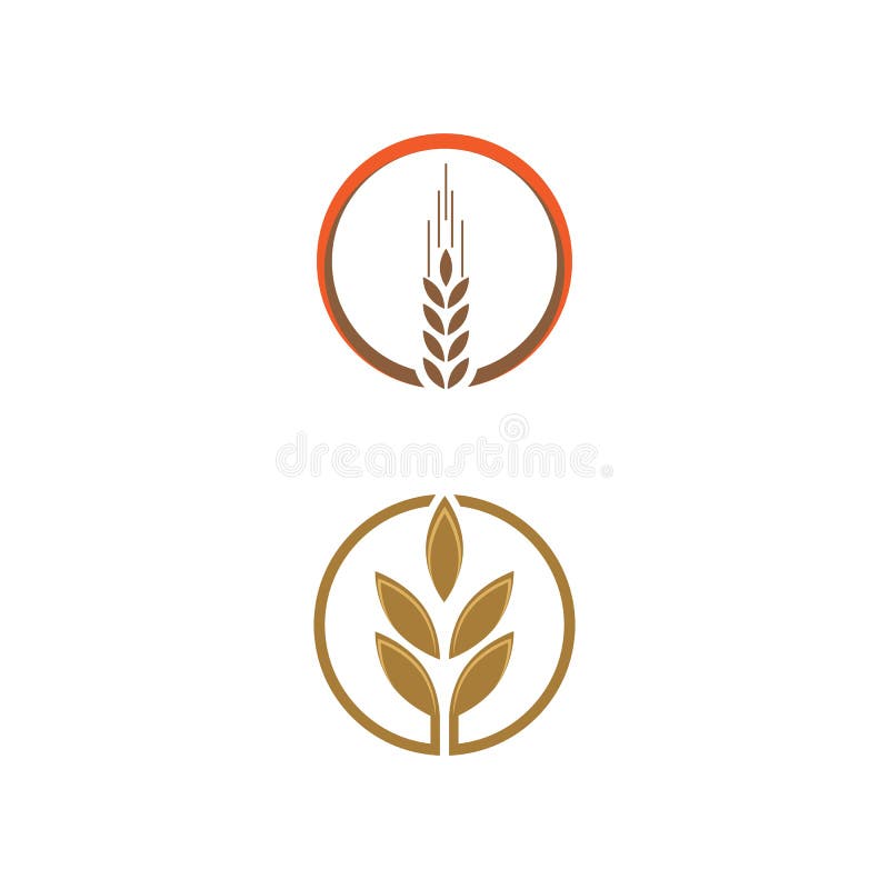 Luxury Golden Grain Weath / Rice Logo Design Vector Stock Vector ...