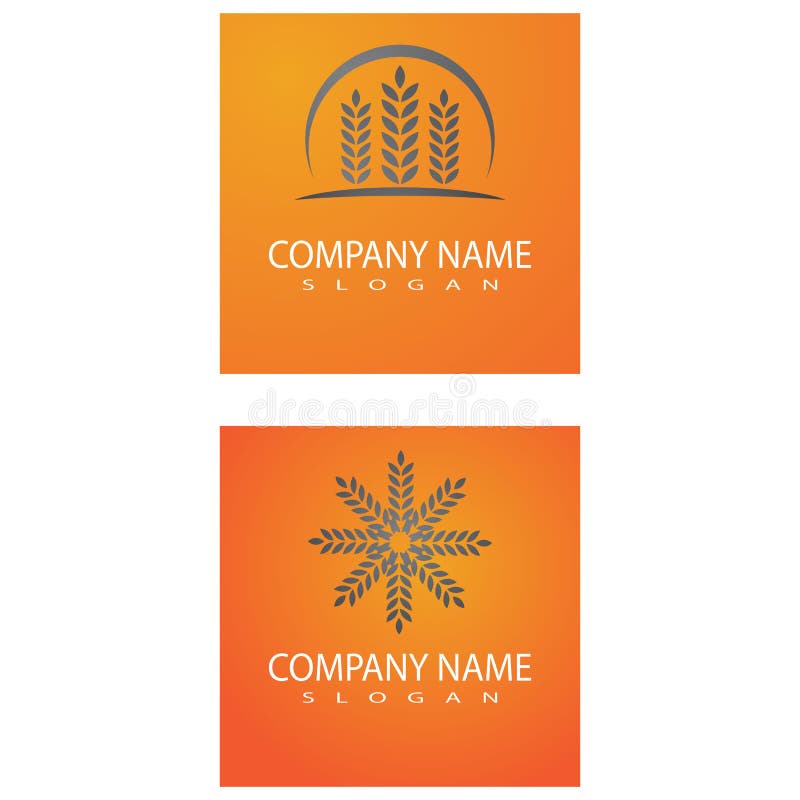 Luxury Golden Grain Weath / Rice Logo Design Vector Stock Vector ...
