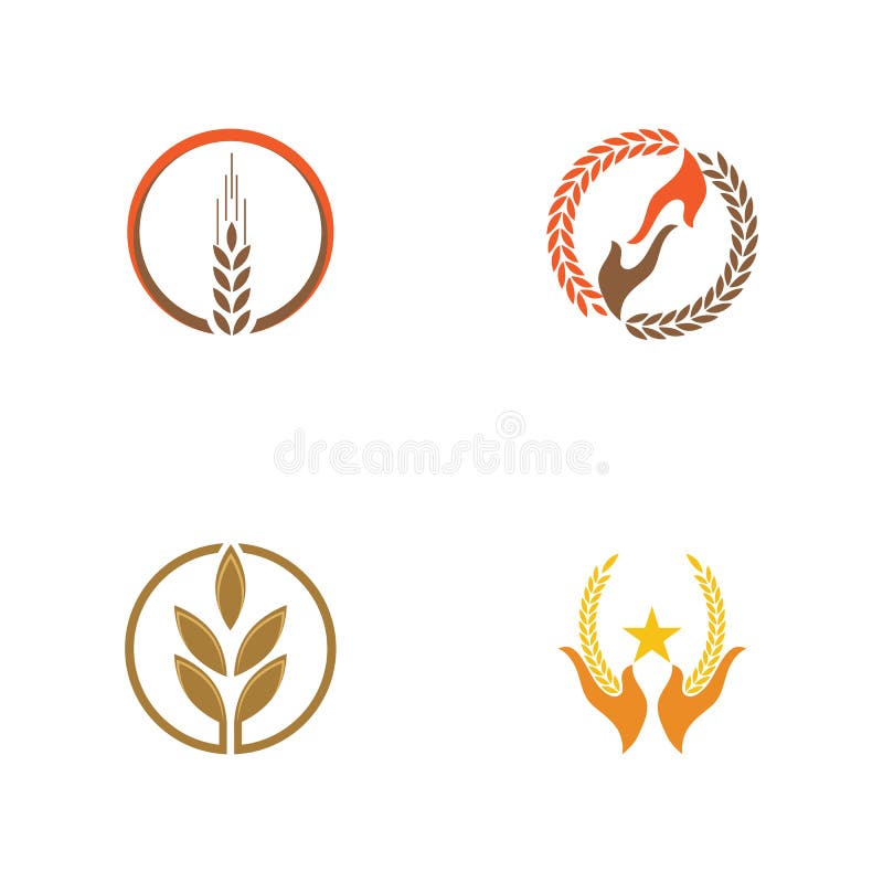 Luxury Golden Grain Weath / Rice Logo Design Vector Stock Vector ...