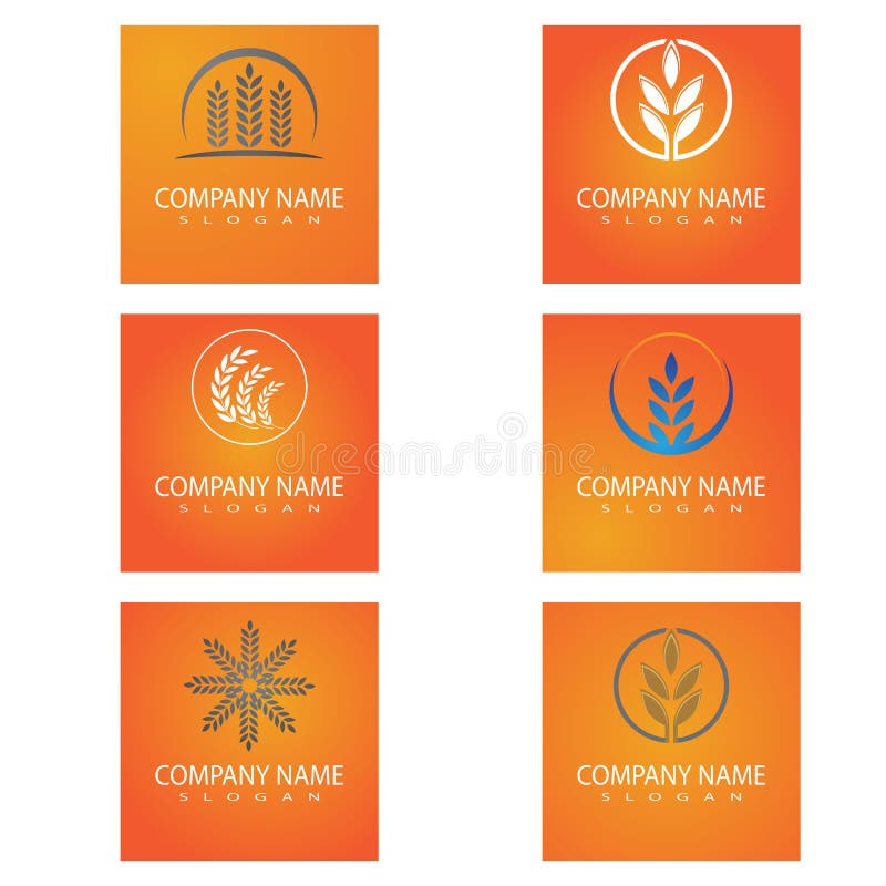 Luxury Golden Grain Weath / Rice Logo Design Vector Stock Vector ...