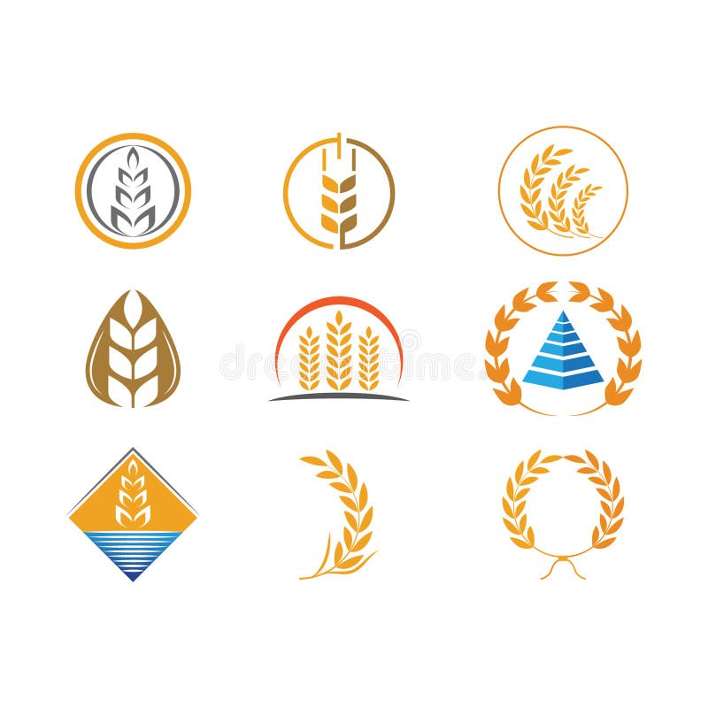 Luxury Golden Grain Weath / Rice Logo Design Vector Stock Vector ...